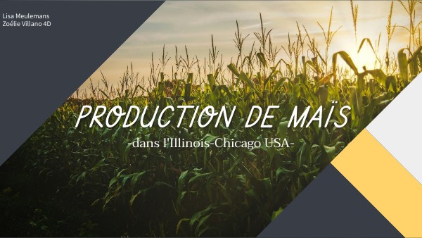 DIAGONAL PROJECT PRESENTATION | Genially