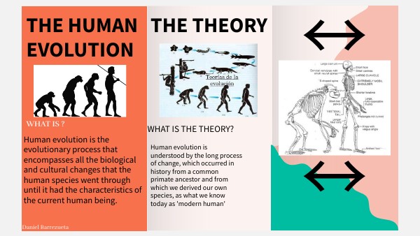 HUMAN EVOLUTION BY DANIEL BARREZUETA