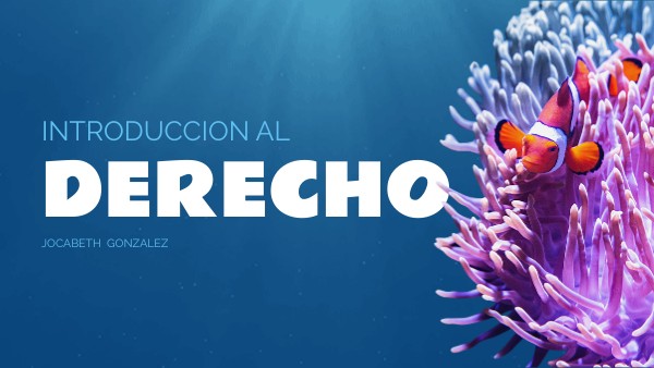 derecho