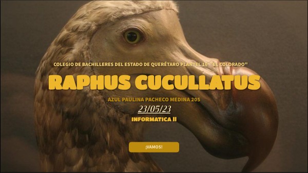 El Pájaro Dodo por Paulina 205 | Genially