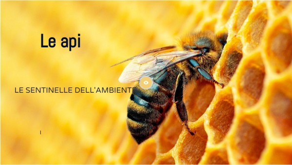Le api | Genially