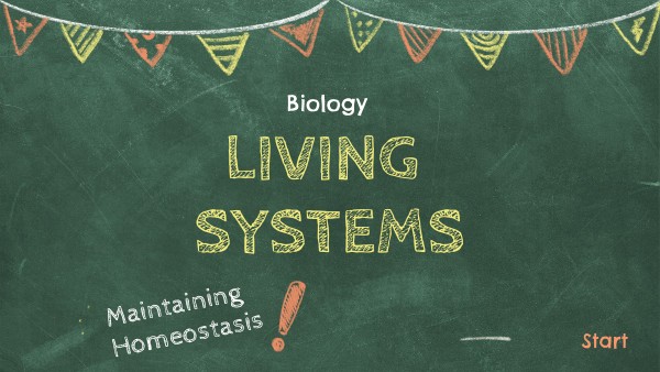 Choice Board: Homeostasis