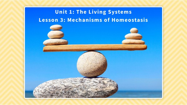 Biology Unit 1 Lesson 3 | Genially