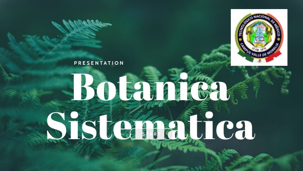 presentacion matamatica