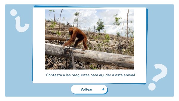 Los animales | Genially