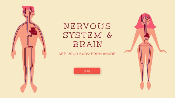 HUMAN BODY PRESENTATION