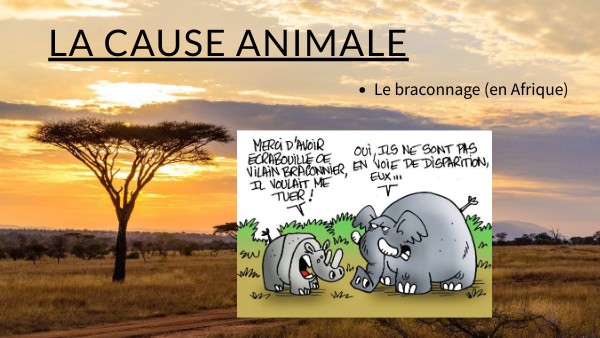 La cause animale