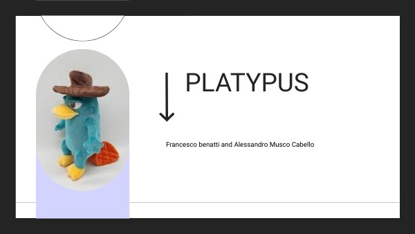 Platypus