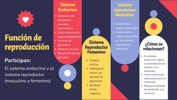 Función de Reproducción | Genially