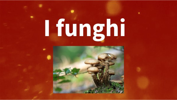 I funghi | Genially