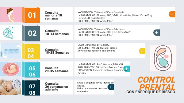 INFOGRAFIA CONTROL PRENATAL | Genially