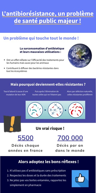 antibiorésistance