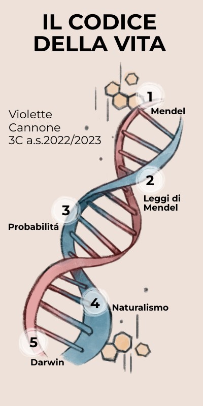 DNA VERTICAL INFO