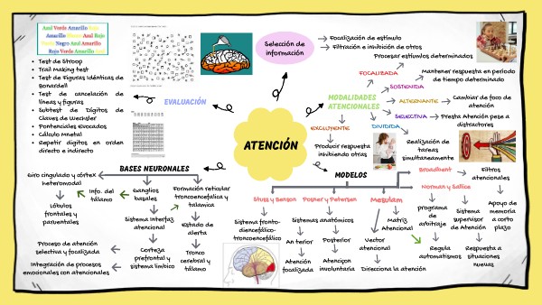 MAPA CONCEPTUAL ILUSTRADO