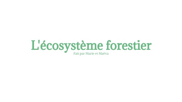 Écosystème forestier