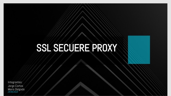 SSL secure proxy