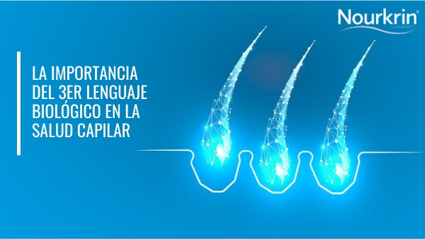 Ayuda Visual | Genially