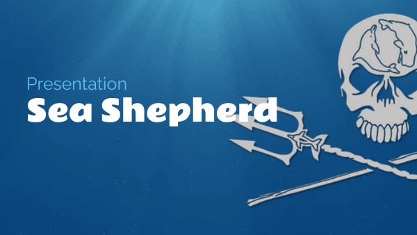 sea shepherd