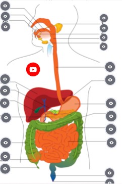 Image interactive