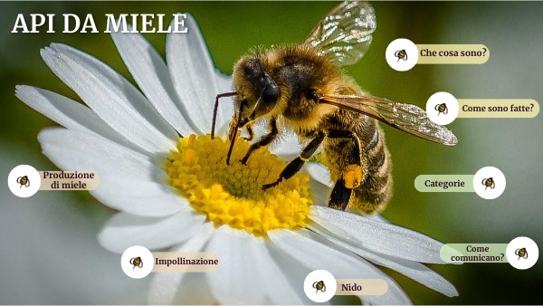 API DA MIELE - KEILY NUNEZ