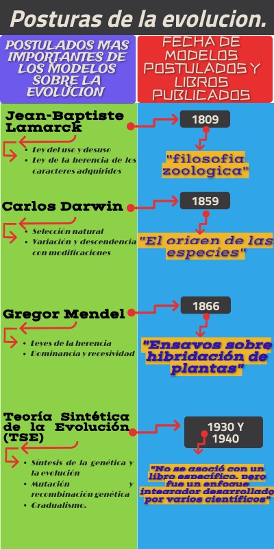 LINEA DE TIEMPO (POSTURA DE LA EVOLUCION) | Genially