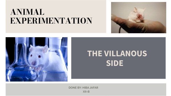 Animal Experimentation | Genially