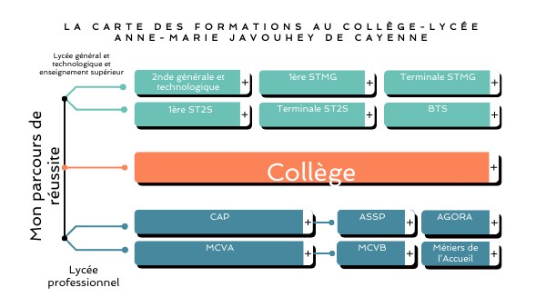 La carte des formations au Collège-lycée Anne-Marie Javouhey de Cayenn | Genially