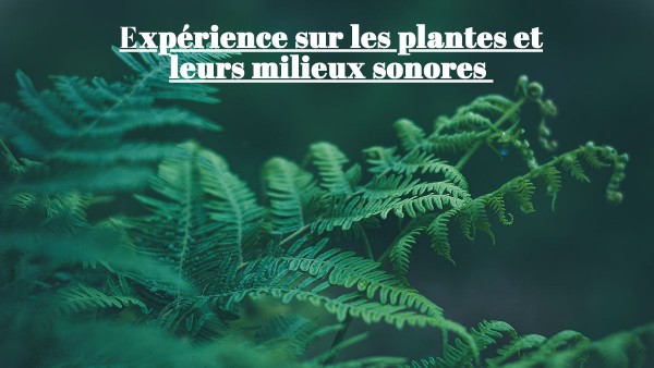 Exposé sur les plantes et leur évolution selon leur milieu sonore