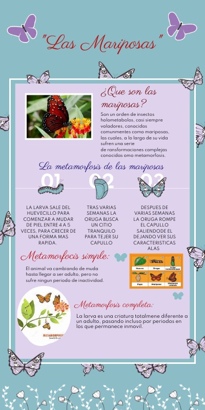 INFO VERTICAL MARIPOSAS