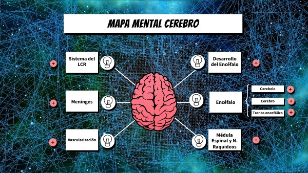 MAPA MENTAL CEREBRO | Genially
