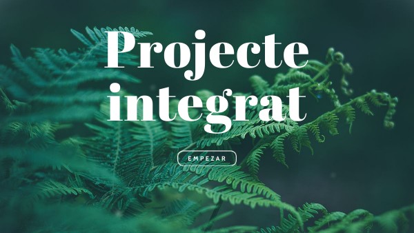 Projecte integrat