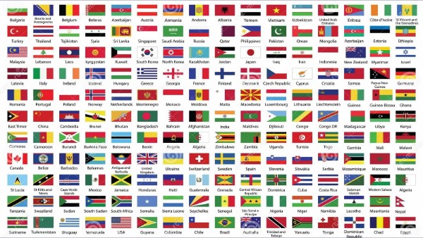 BASIC INTERACTIVE IMAGE