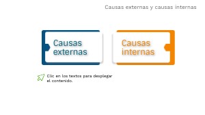 Causas externas e internas
