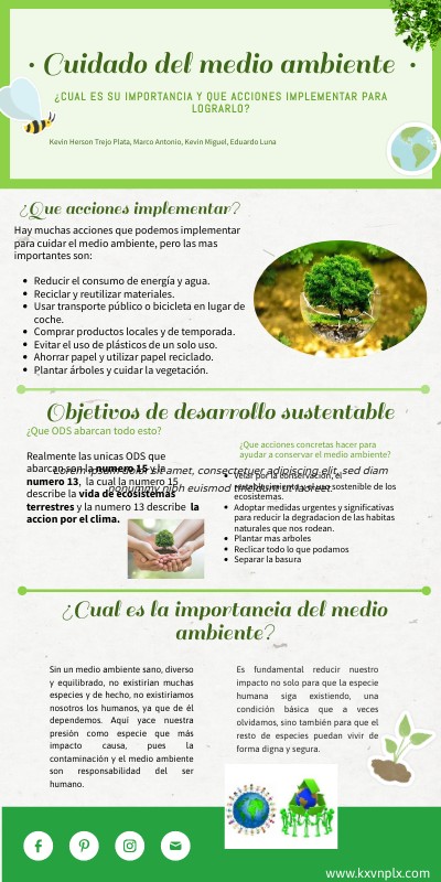 Infografia de cuidado de medio ambiente | Genially