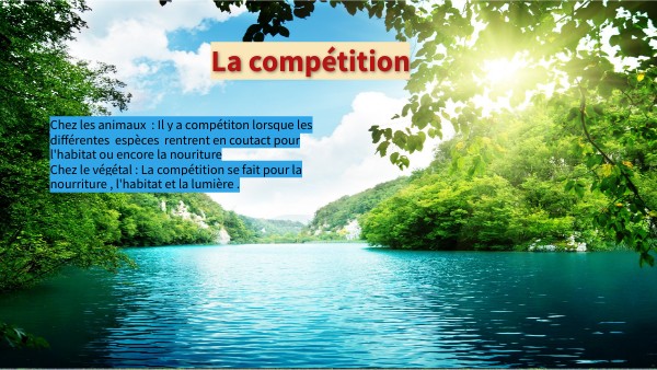 La compétition | Genially
