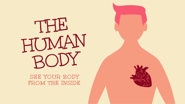 HUMAN BODY PRESENTATION