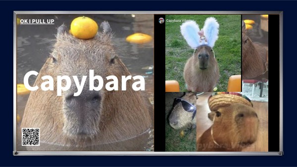 CAPYBARA