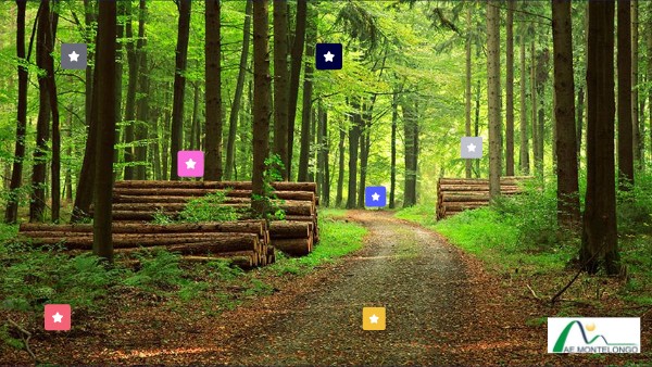 BASIC INTERACTIVE IMAGE | Genially