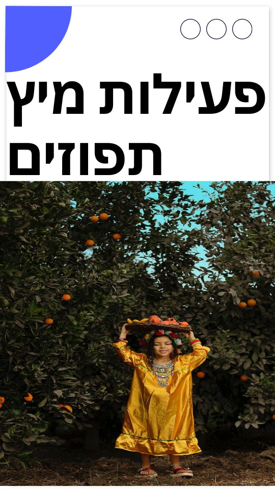 BASIC SHAPES PRESENTATION MOBILE | Genially