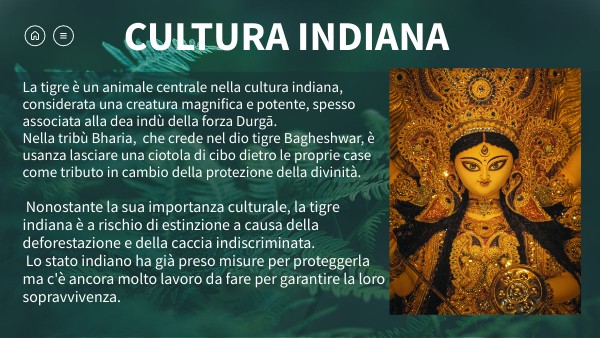 tigri boh | Genially