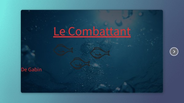 Le Combattant