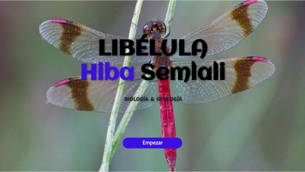 presentacion insectos | Genially