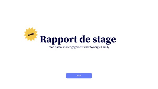 Copy - BASIC PRESENTATION