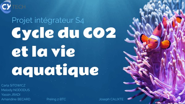 CYCLE DU CO2 S4