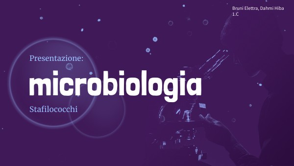 stafilococchi | Genially