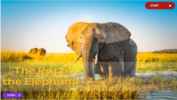 24 The Rat & the Elephant