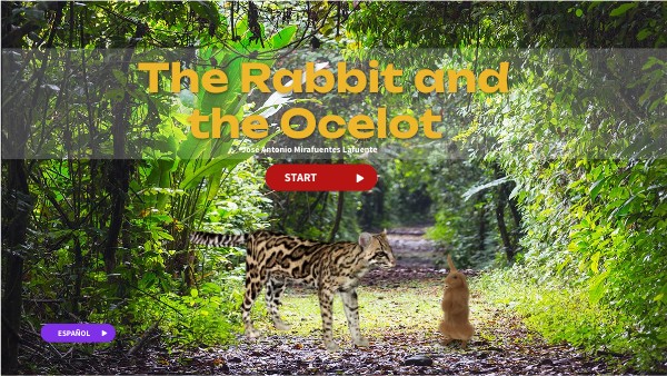 1 The Rabbit and Ocelot