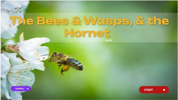 20 The Bees & Wasps, & the Hornet