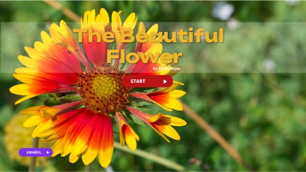 25 The Beautiful Flower