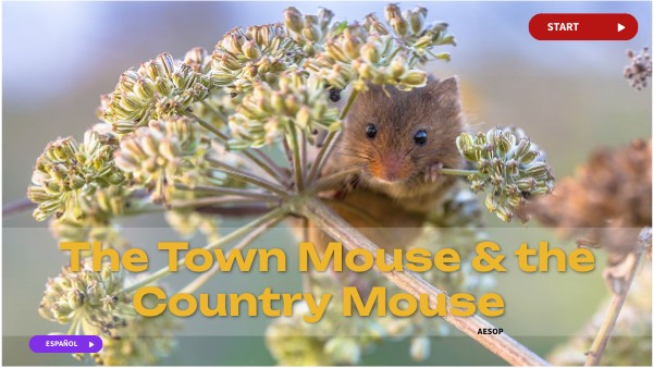 14 The Town Mouse & the Country Mouse | Genially